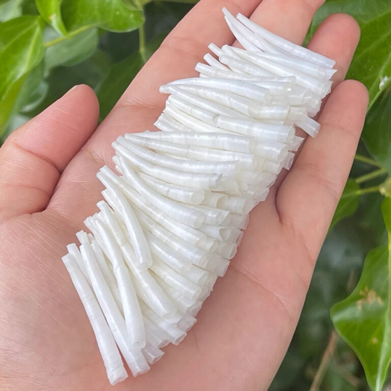 Smooth Dentalium Shells, Hand Sorted and Culled – Garden of Beadin'